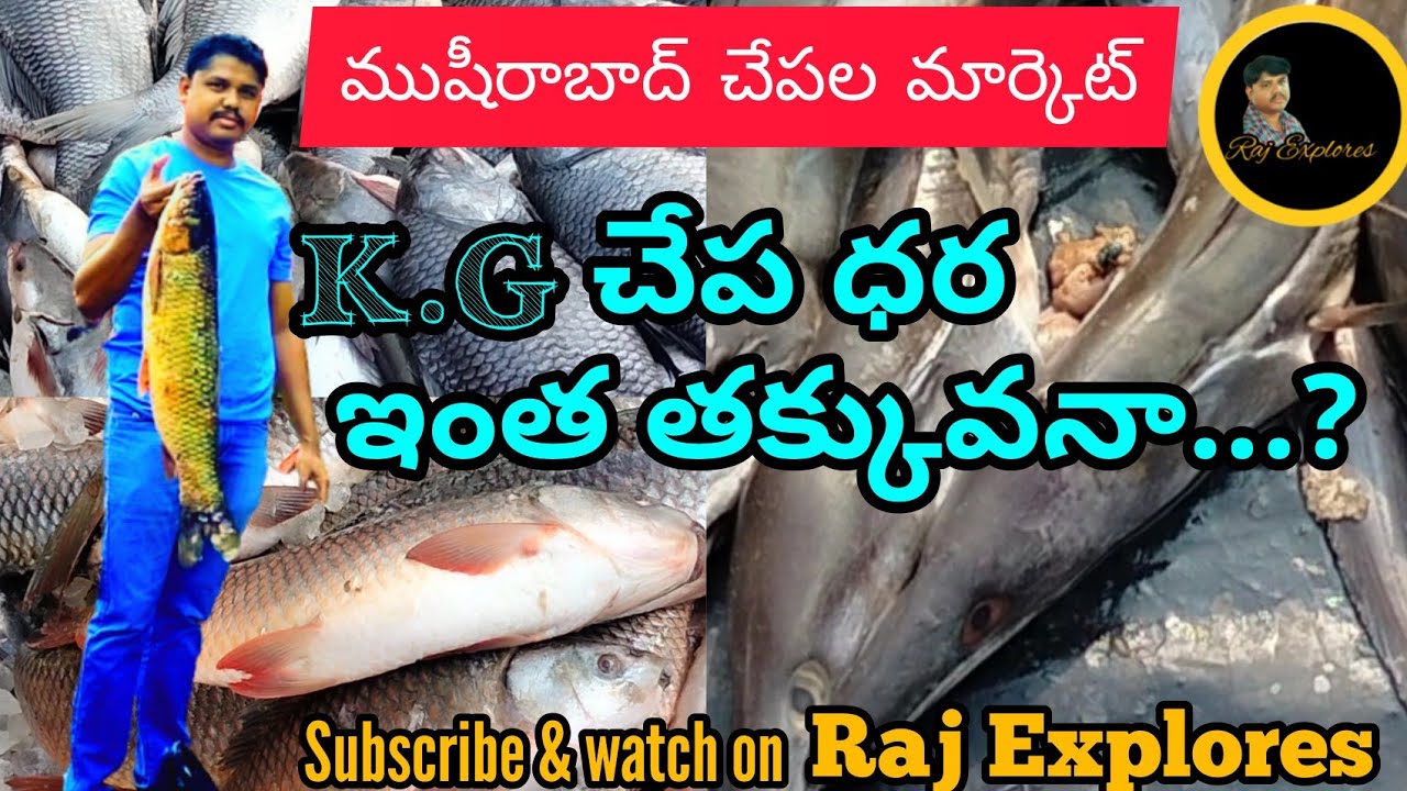 Musheerabad Fish Market / Ramnagar Fish market - YouTube