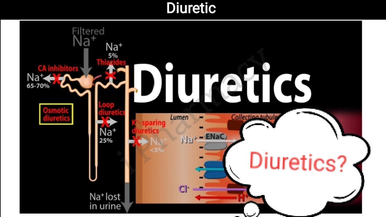 What are Diuretics? | Define | P1 - YouTube