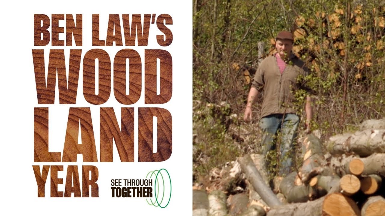 This Off-Grid Woodland Dream Is Real! | Ep 1 Ben Law's Woodland Year ...