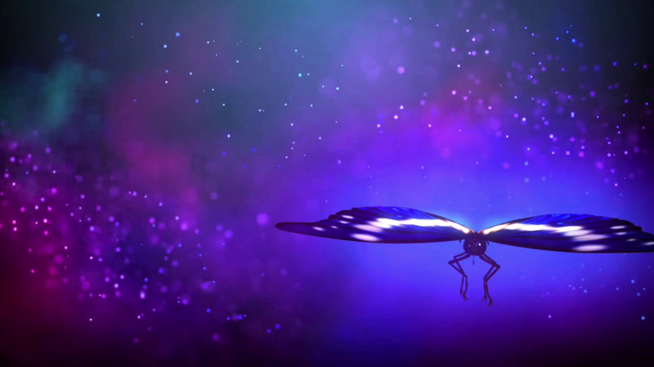 butterfly test - YouTube