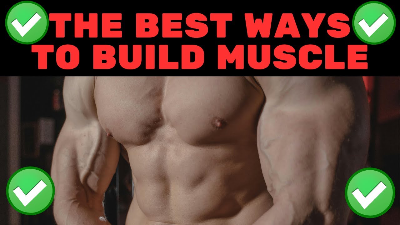 How To Build Muscle - YouTube