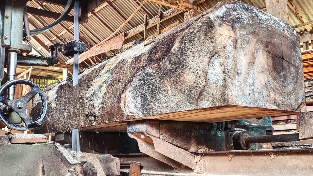 Amazing! This large piece of wood has a very rare and expensive wood ...