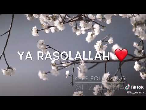 Asalamo Alika ya RasulAllah by Maher Zain/latest whatsapp status/Tiktok