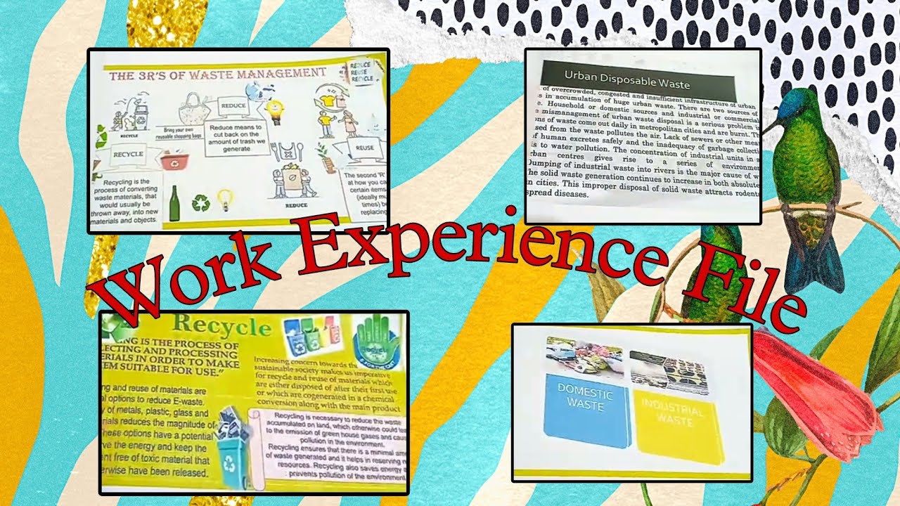 work experience file - YouTube