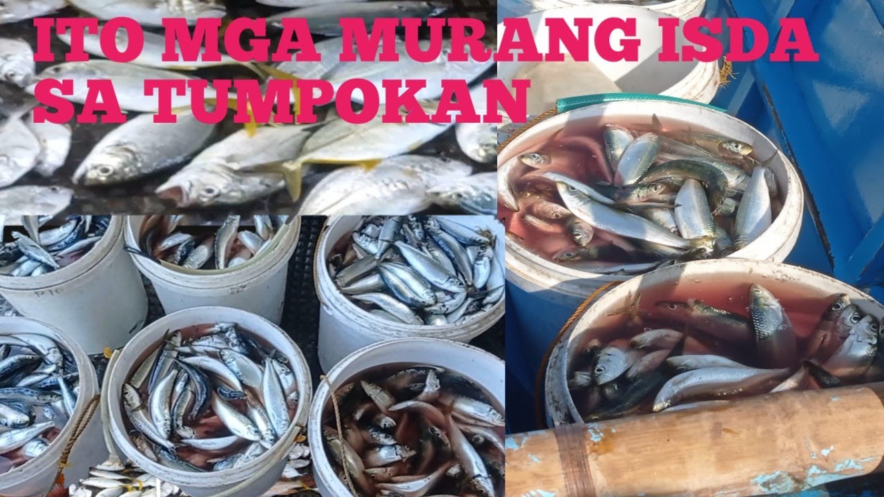 TUMPOK TUMPOK NA MGA SARIWANG ISDA MURA ABUTKAYA #JULUGAN -1TANZA ...