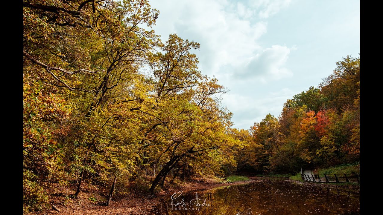 Cluj Napoca _ Sovata _ Praid - YouTube