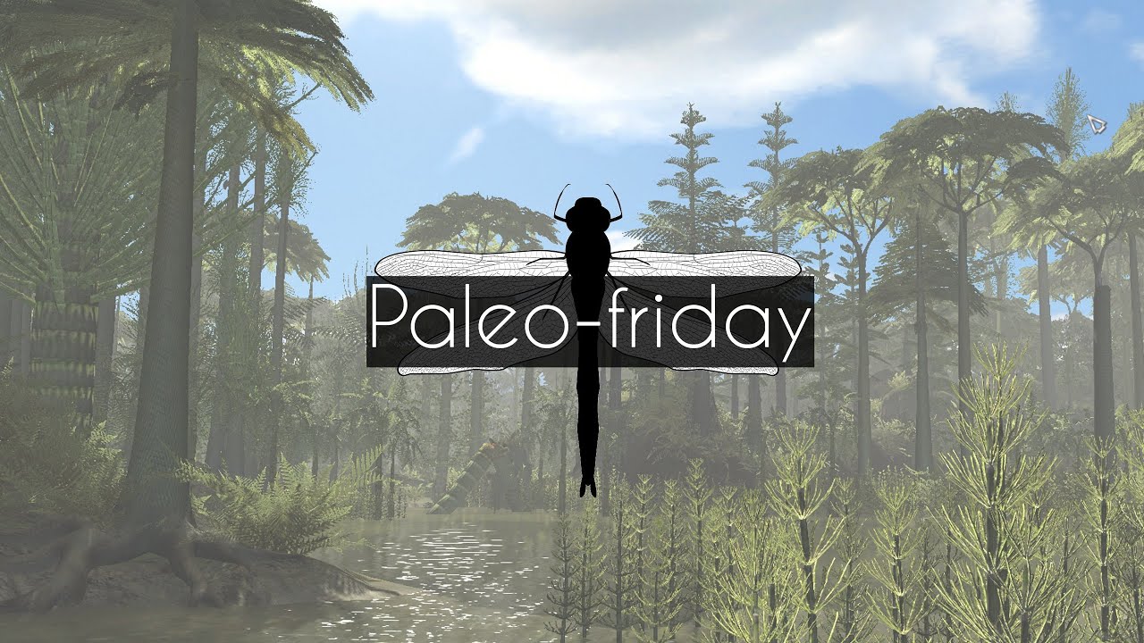 Paleo-friday: exploring a carboniferous forest! - YouTube