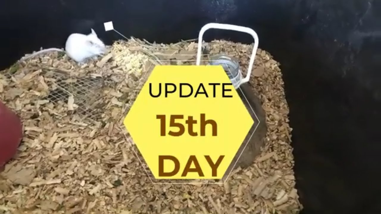 15th DAY ON MY DAGANG COSTA - YouTube