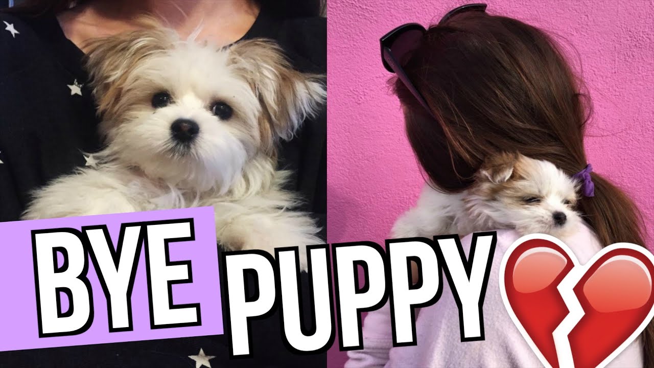 SAYING BYE TO COCONUT :( - YouTube