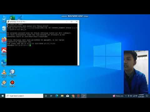 web server - database - YouTube
