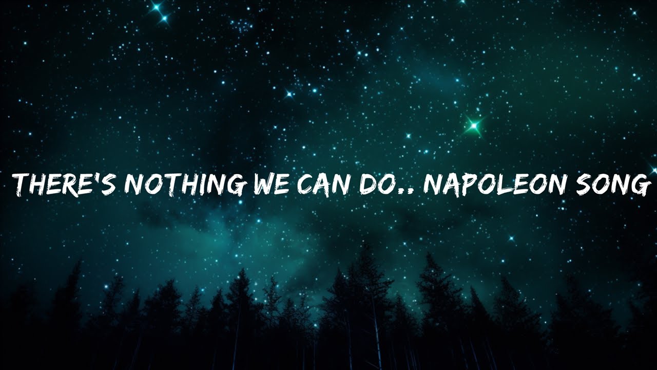 there's nothing we can do.. napoleon song (Lyrics) (Tiktok Version ...