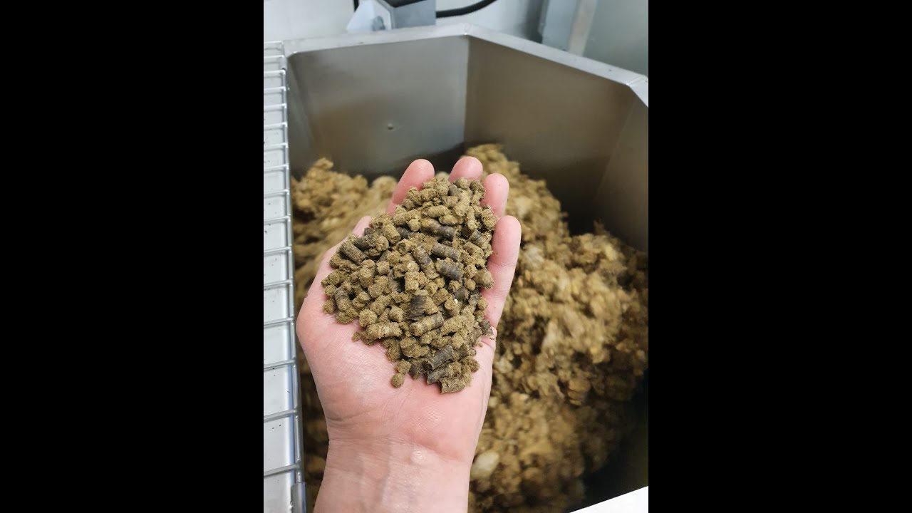 Shredding and making wool pellets - YouTube