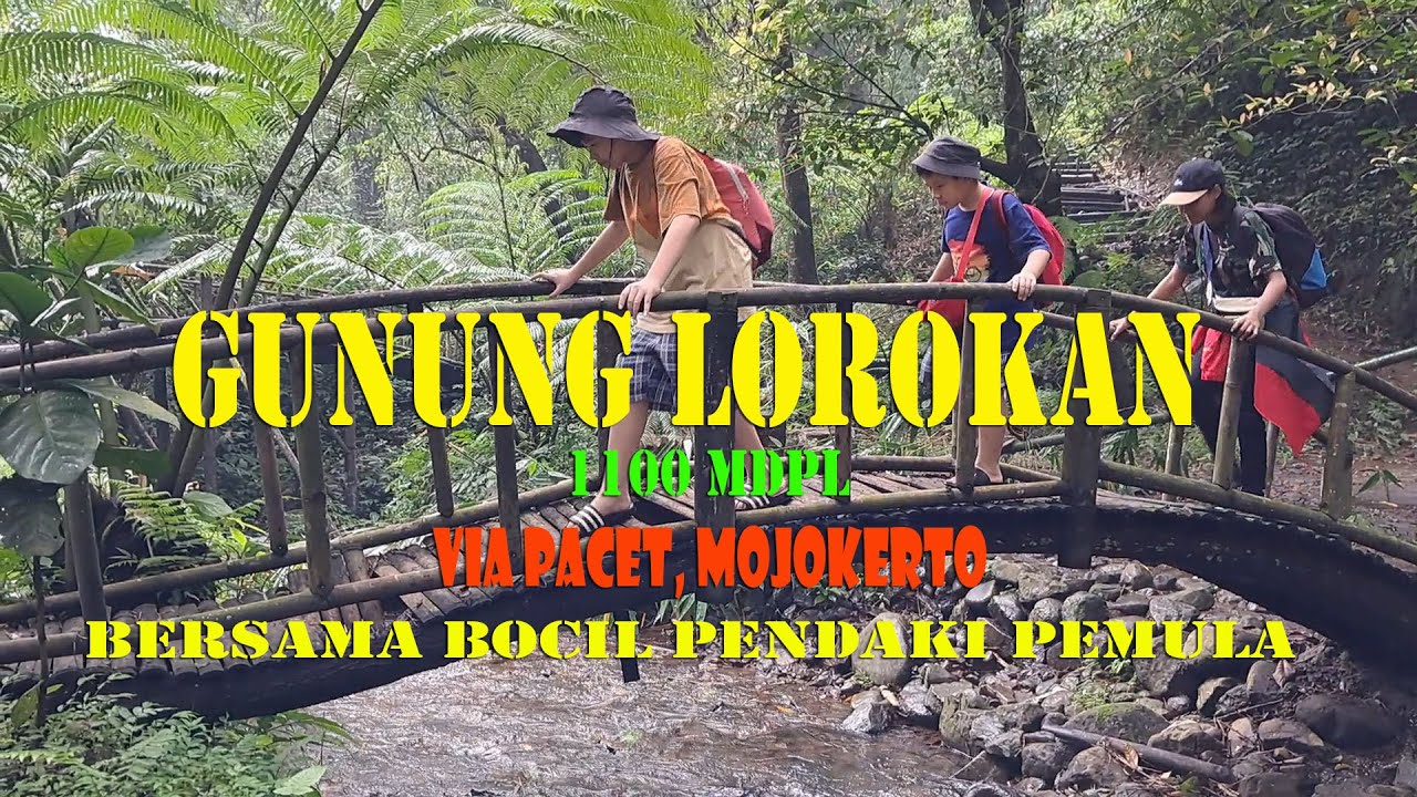 Gunung Lorokan 1100 MDPL - Via Pacet, Mojokerto// Full Review bersama ...