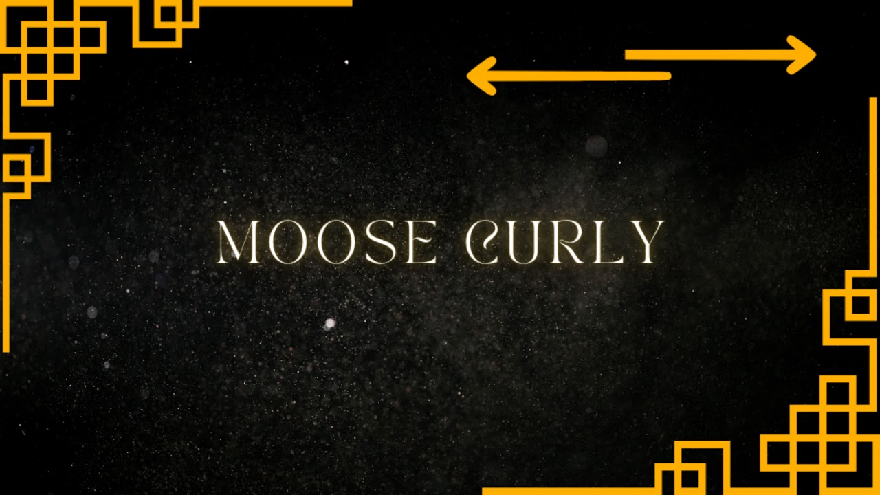 Transmisión en vivo de Moose Curly - YouTube