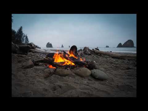 ORHAN SEYFİ ORHON - DİYORLAR