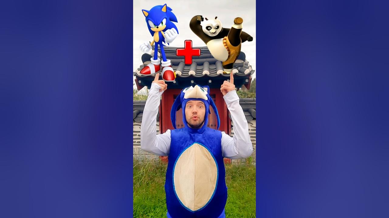 Sonic Kung Fu Panda Sonic Animation Youtube