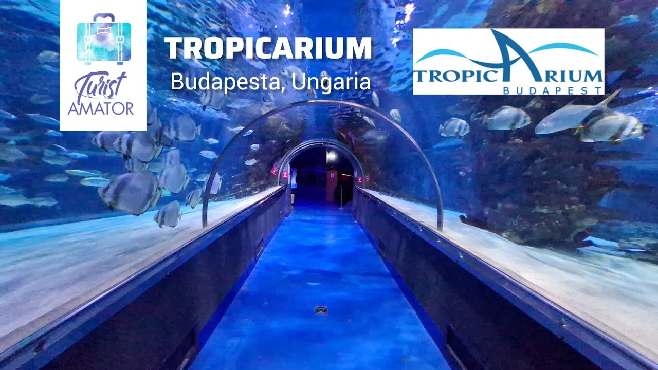 Tropicarium din Budapesta - YouTube