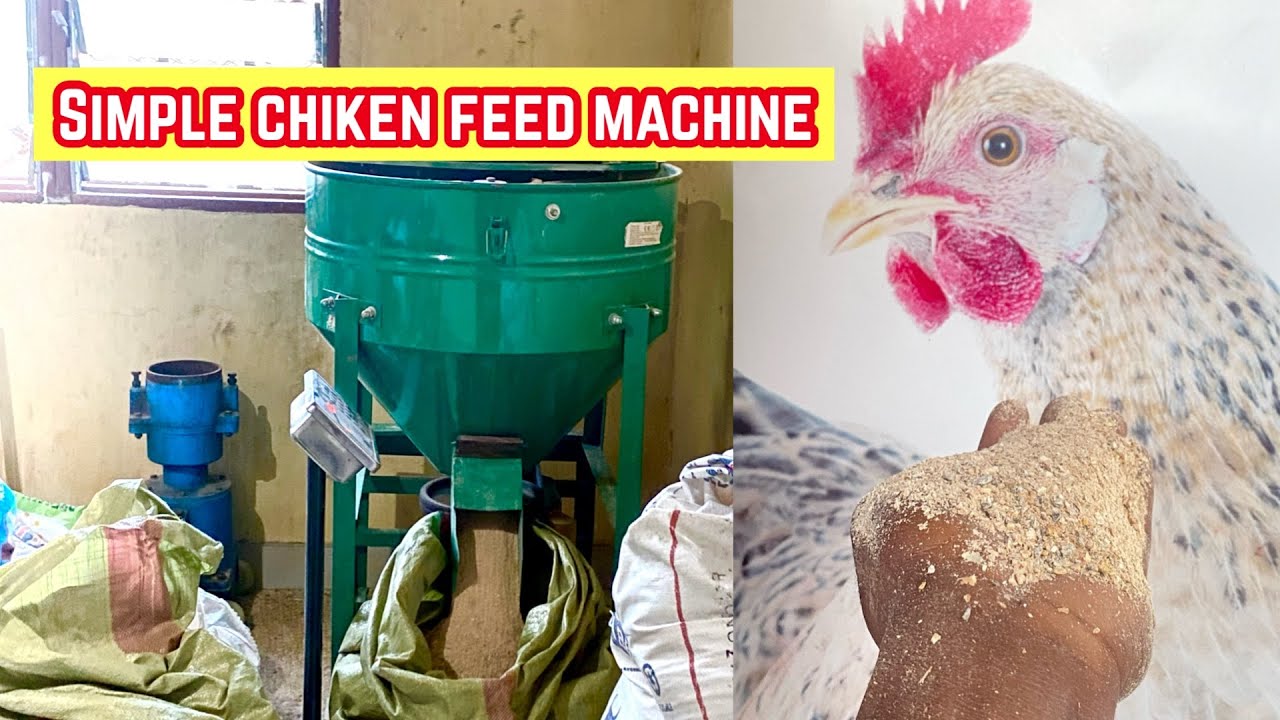 Simple chiken feed machine 🐓 (2023) - YouTube