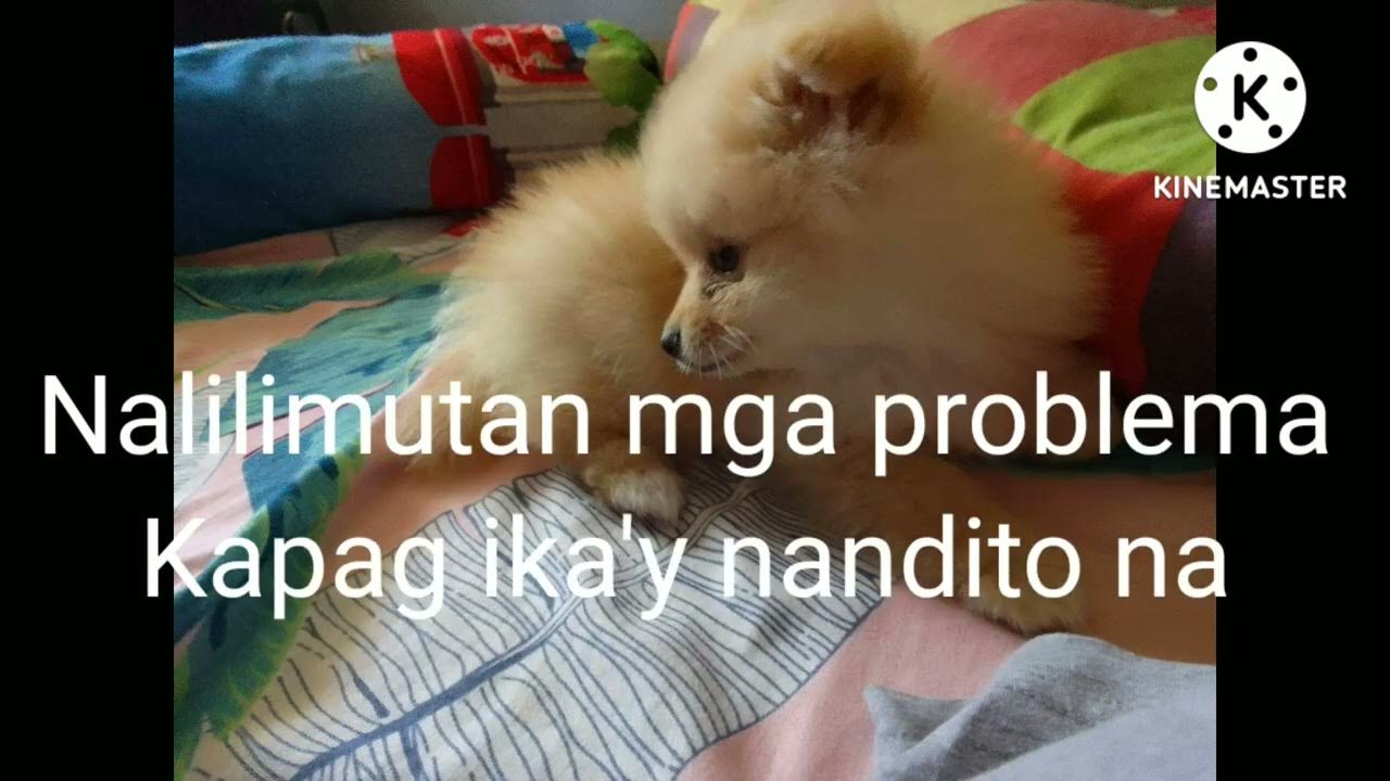 Kahit Minsan Lang by Jennifer Mendoza ( videoke ) - YouTube