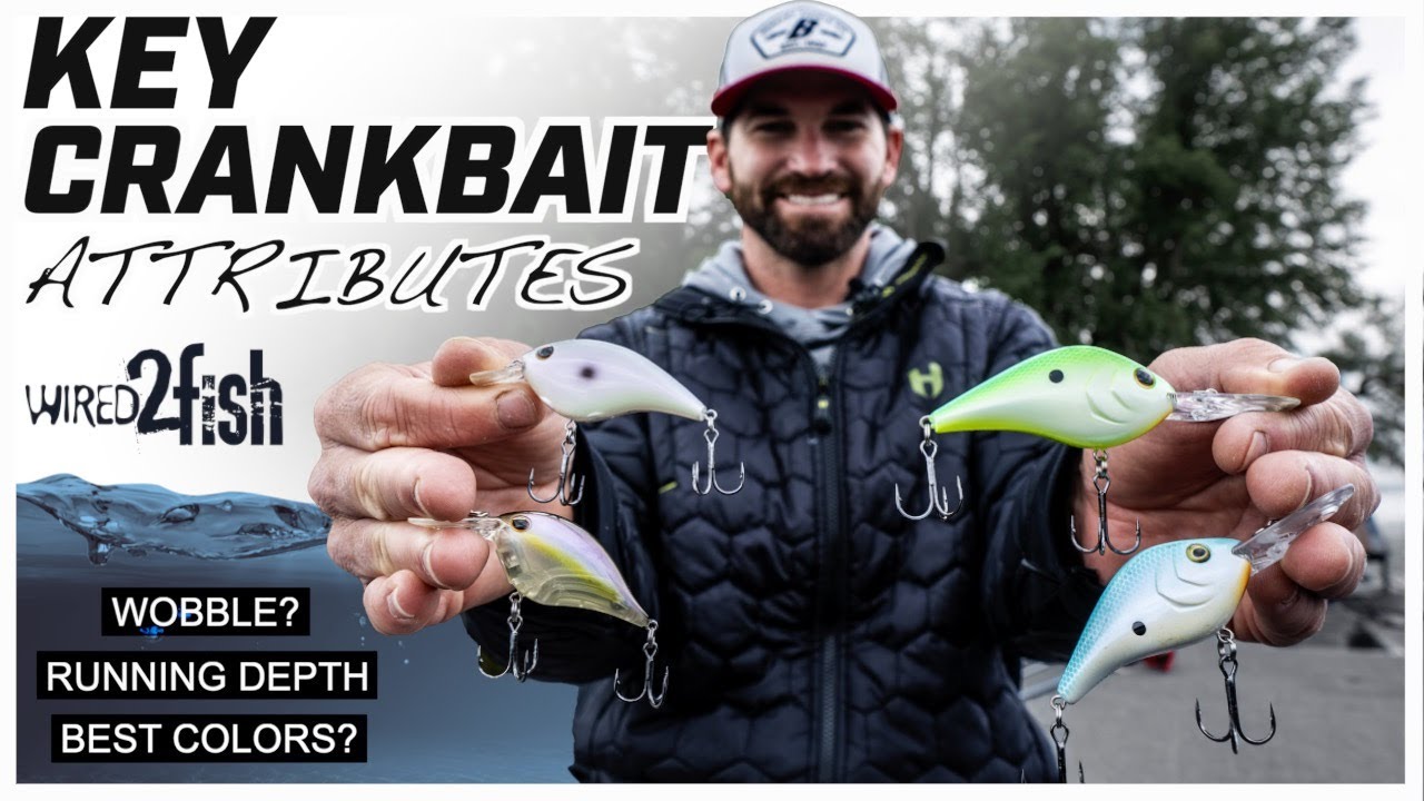 Master Crankbait Fishing with Keith Carson: From Shallow to Deep - YouTube
