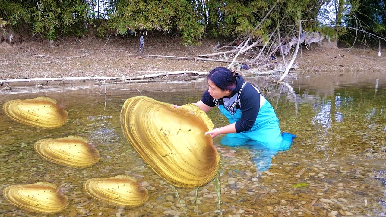 The golden clam lying in the water appeared in front of the girl ...