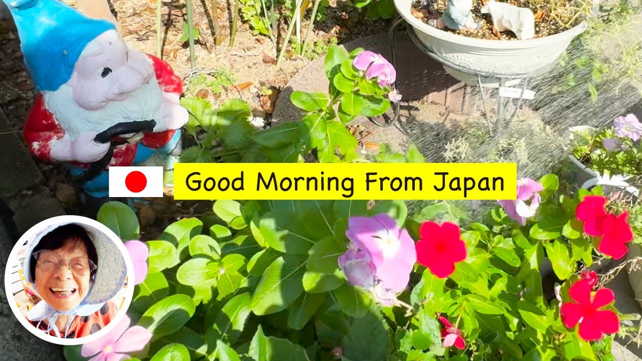 Which Do You Love More? 🌸 Flowers or Little People? 👵 - YouTube