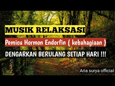Musik Relaksasi Untuk Memicu Hormon Endorfin kebahagiaan ( Dengarkan berulang ) Untuk Insomnia