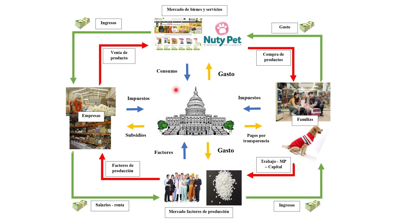 Diagrama de flujo circular de la economía - YouTube