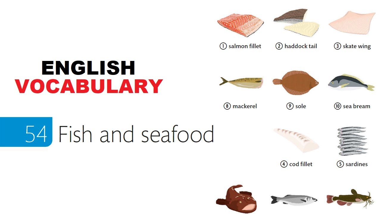 English Vocabulary - part 54/180 - Fish and seafood - YouTube