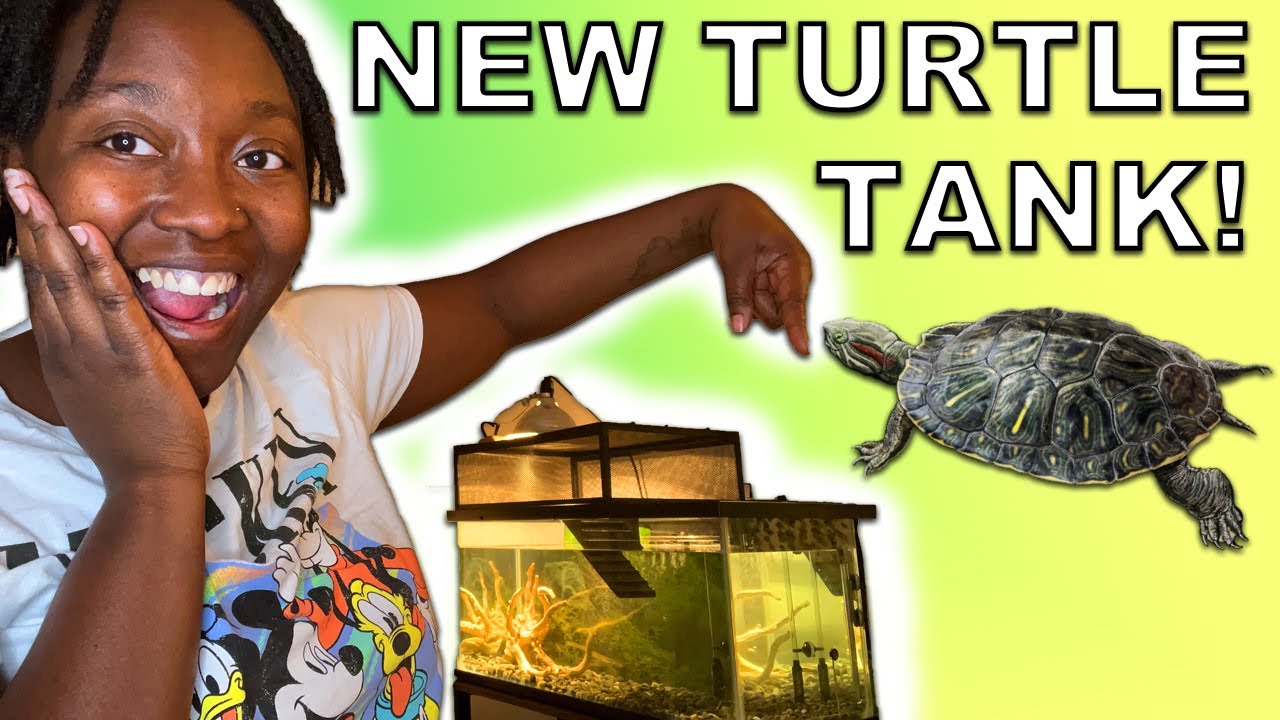 SETTING UP A 40-GAL RES TANK!! - YouTube