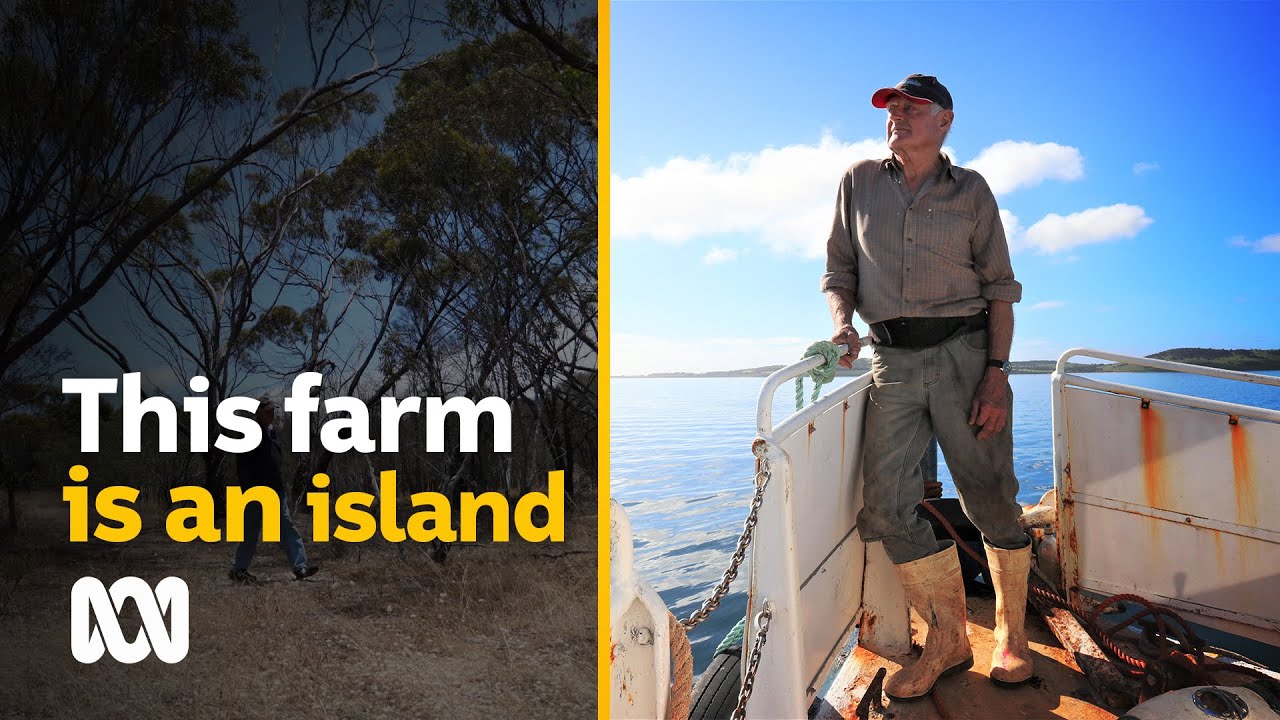 Island farming for the future – replacing sheep with trees and tourists ...