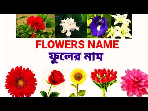 Flowers name in English to Bengali ll Flowers Vocabulary ll Name of ...
