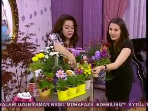 Tvem, Oya Aydoğan, Ev Hali, Aytul Temiz 1-1.wmv
