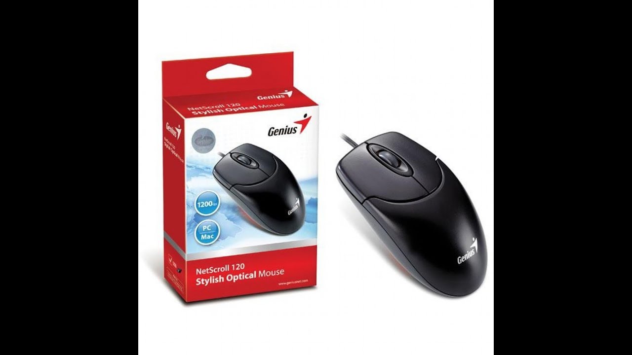 Genius NetScroll 120 обзор (как правильно выбрать мышь) - YouTube