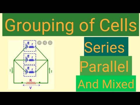 Combinations of cells (12th) - YouTube