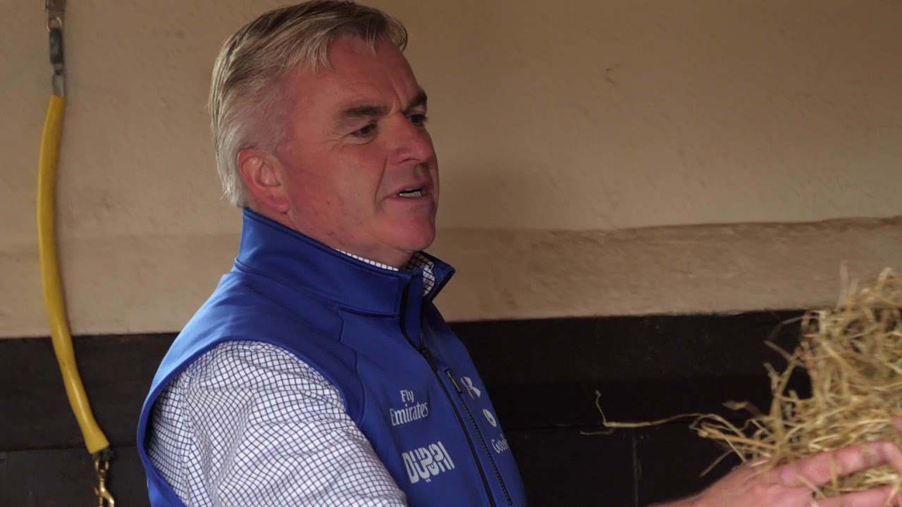 Kildangan Stud Jimmy Hyland 2 Overall 1 - YouTube