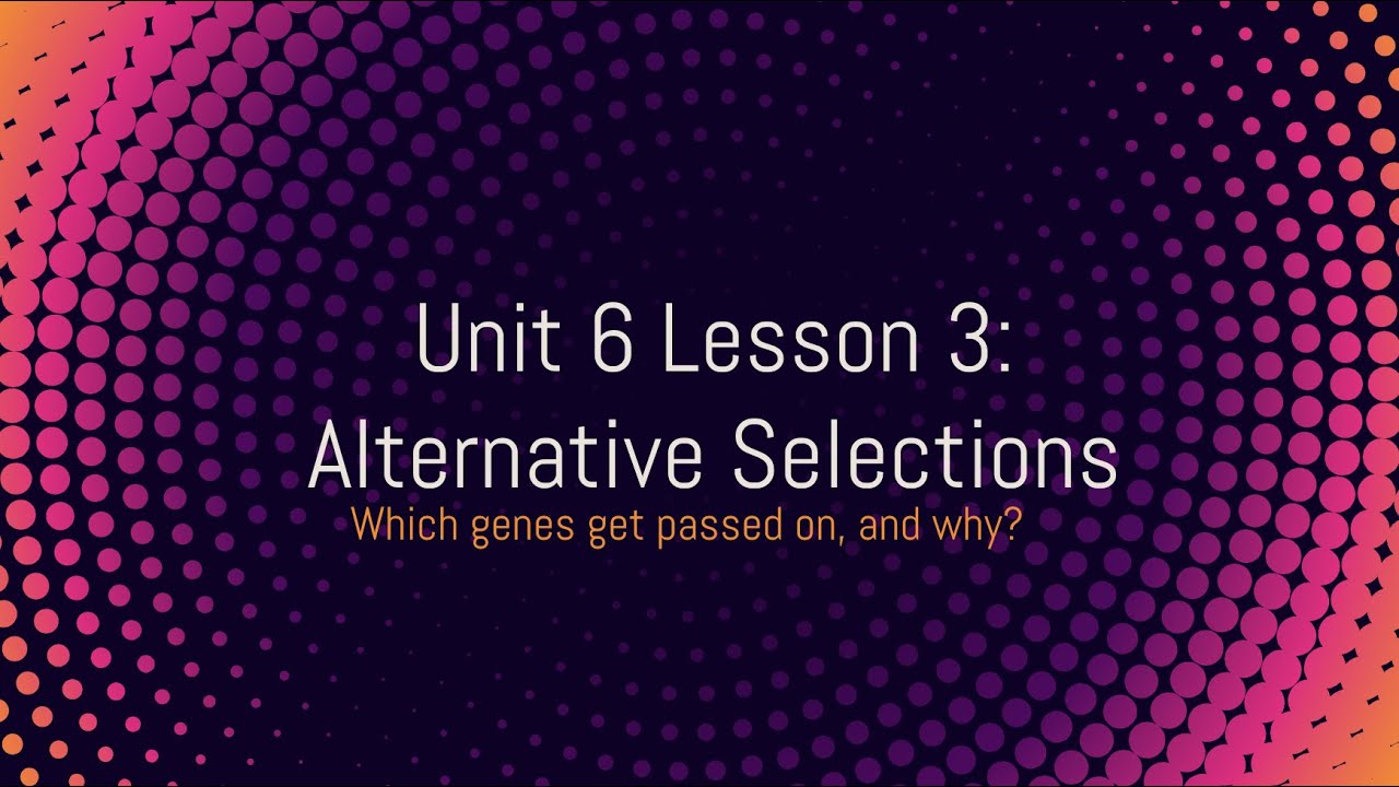 U6L3: Alternative Types of Selection - YouTube