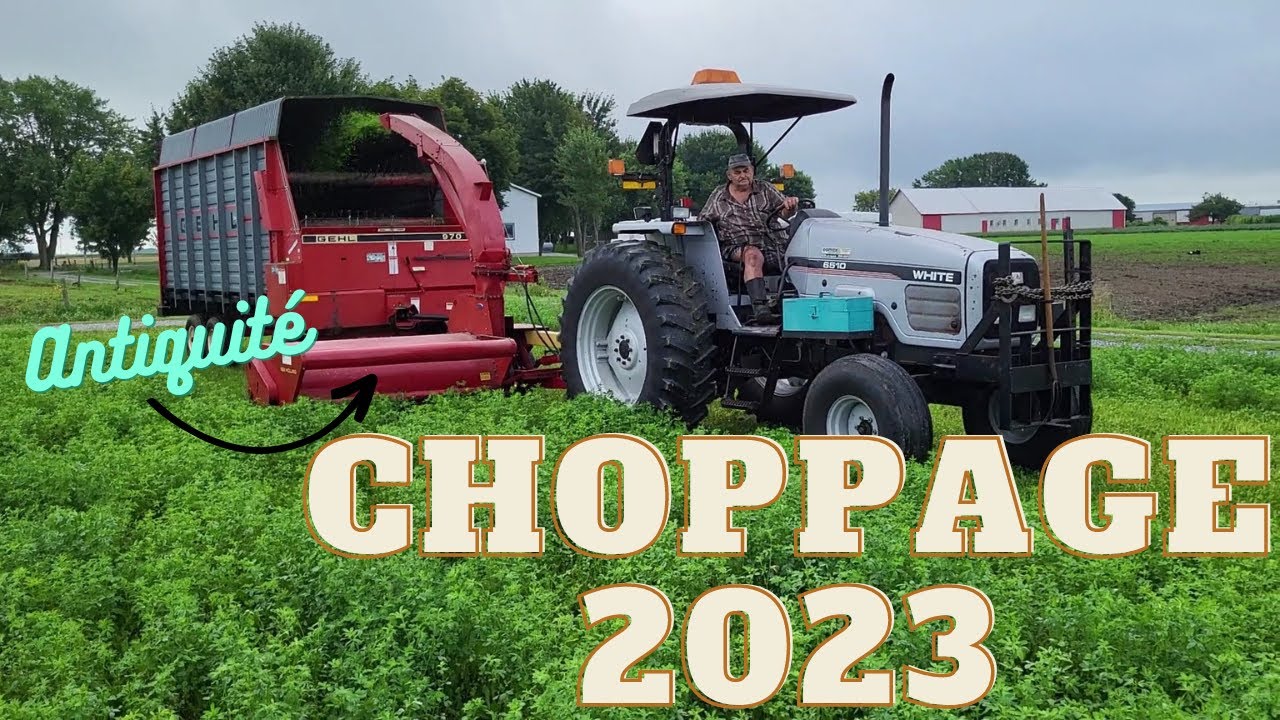 Plus d'ensilage??? On sort le Crop Chopper 38, une antiquité de New ...