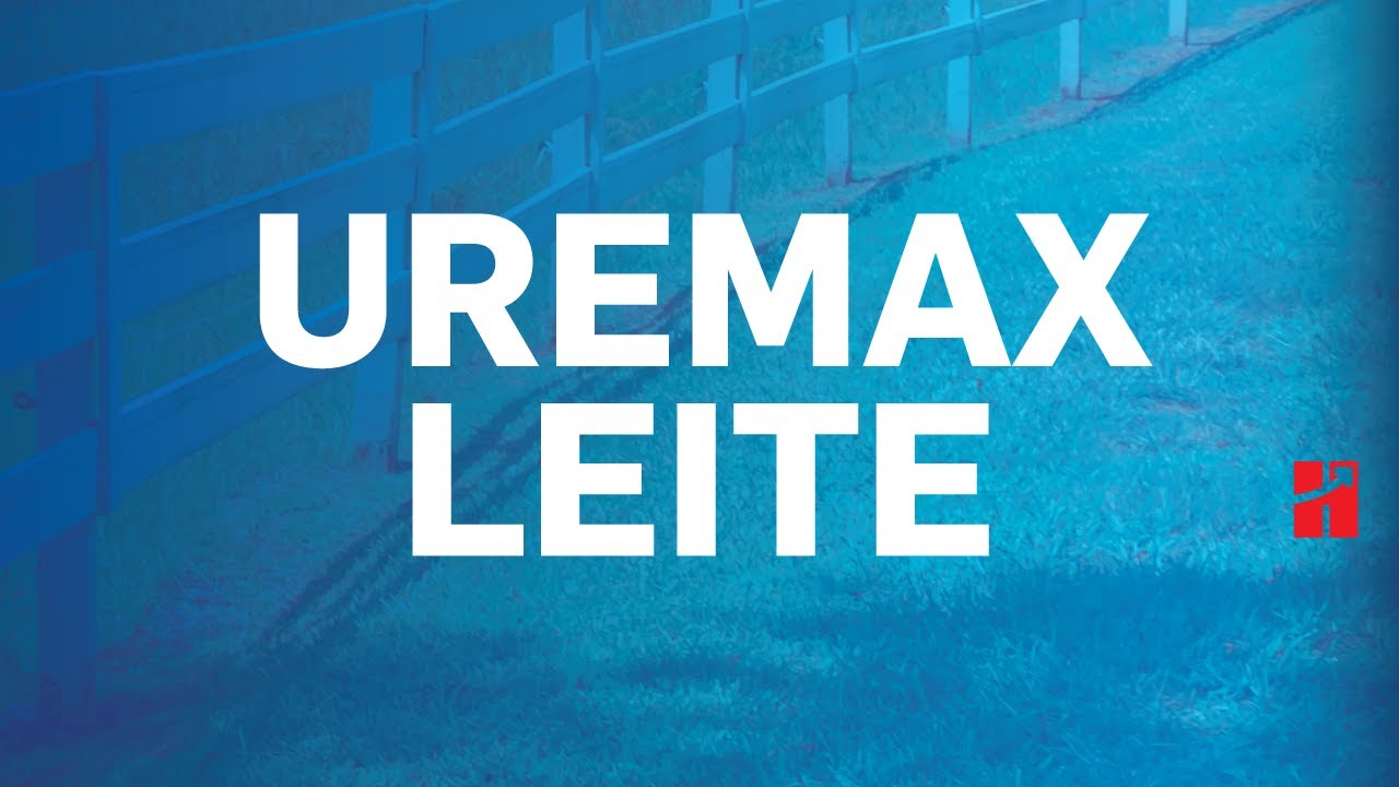 Casos de Sucesso 207 Uremax Leite - YouTube