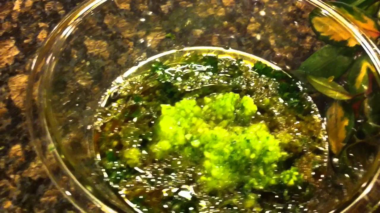 How to Make Chilean Pebre - YouTube