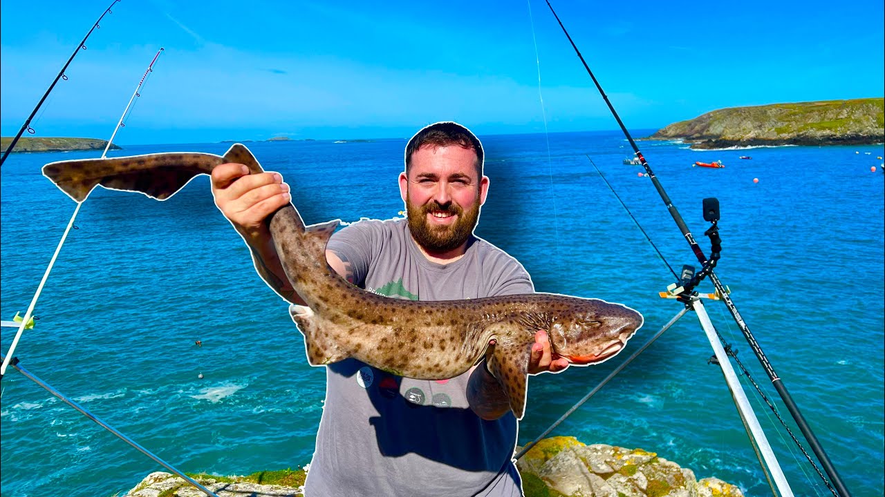 Bull Huss & Pollock Fishing | Shore Fishing North Pembrokeshire Coast ...