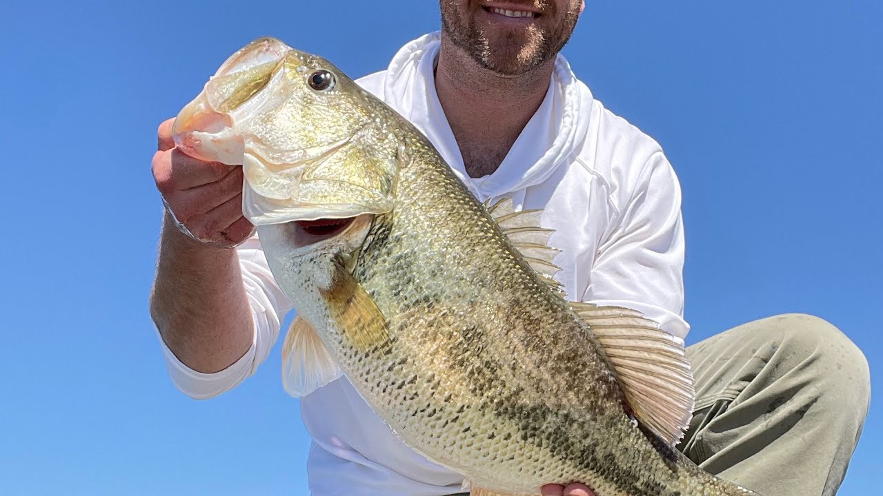 HUGE BASS 10 Inch POWERWORM!! BERKLEY - YouTube