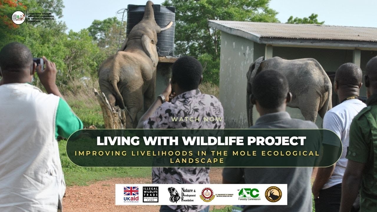 Mole National Park Beneficiaries Pledge to Protect Wildlife. - YouTube