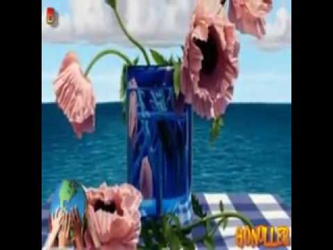 Sevdim seni bir kere