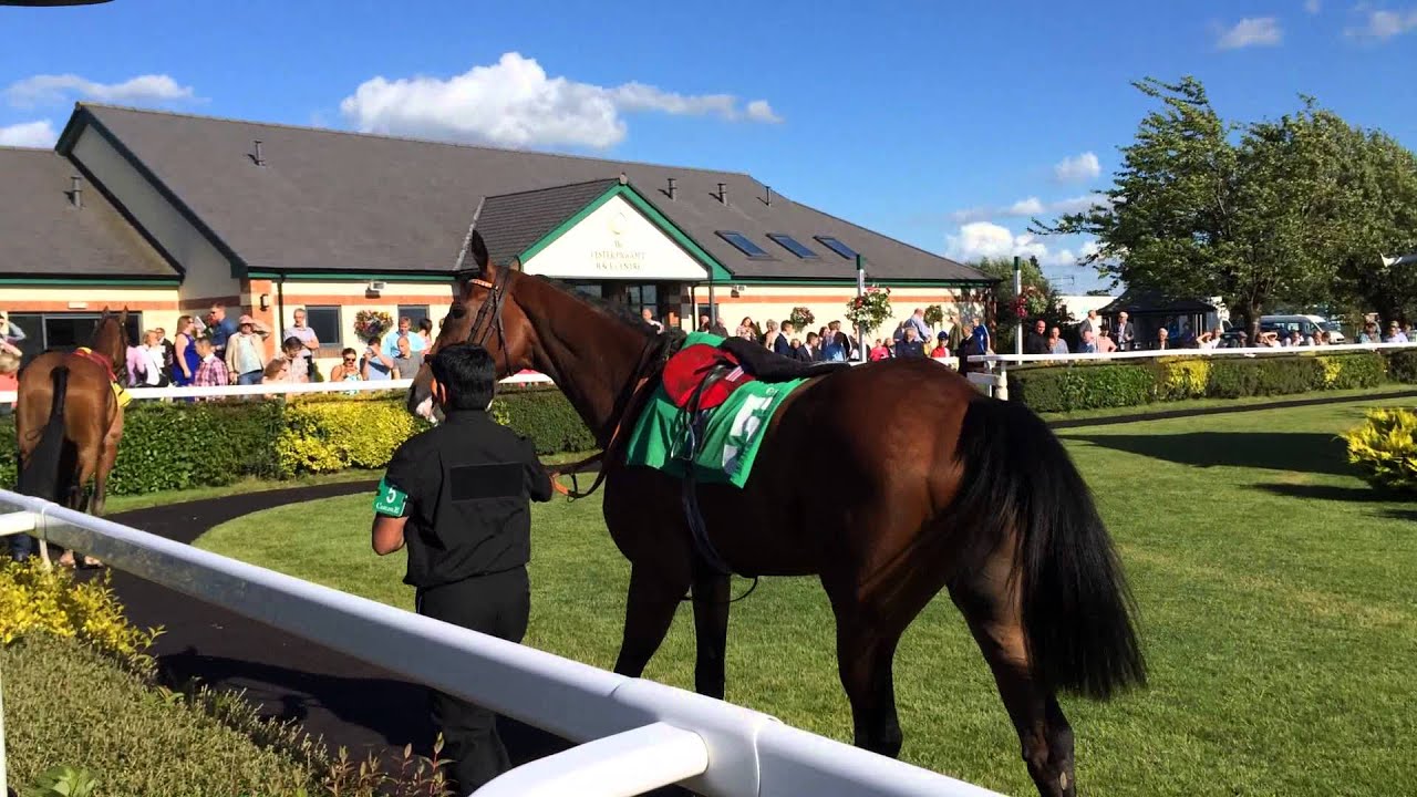Carlisle Races Paddock - YouTube