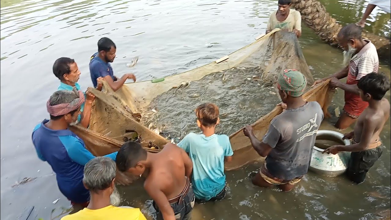 Amazing Best Villages River Net Fishing video Our villages River Net fishing A9 #fishing # ...