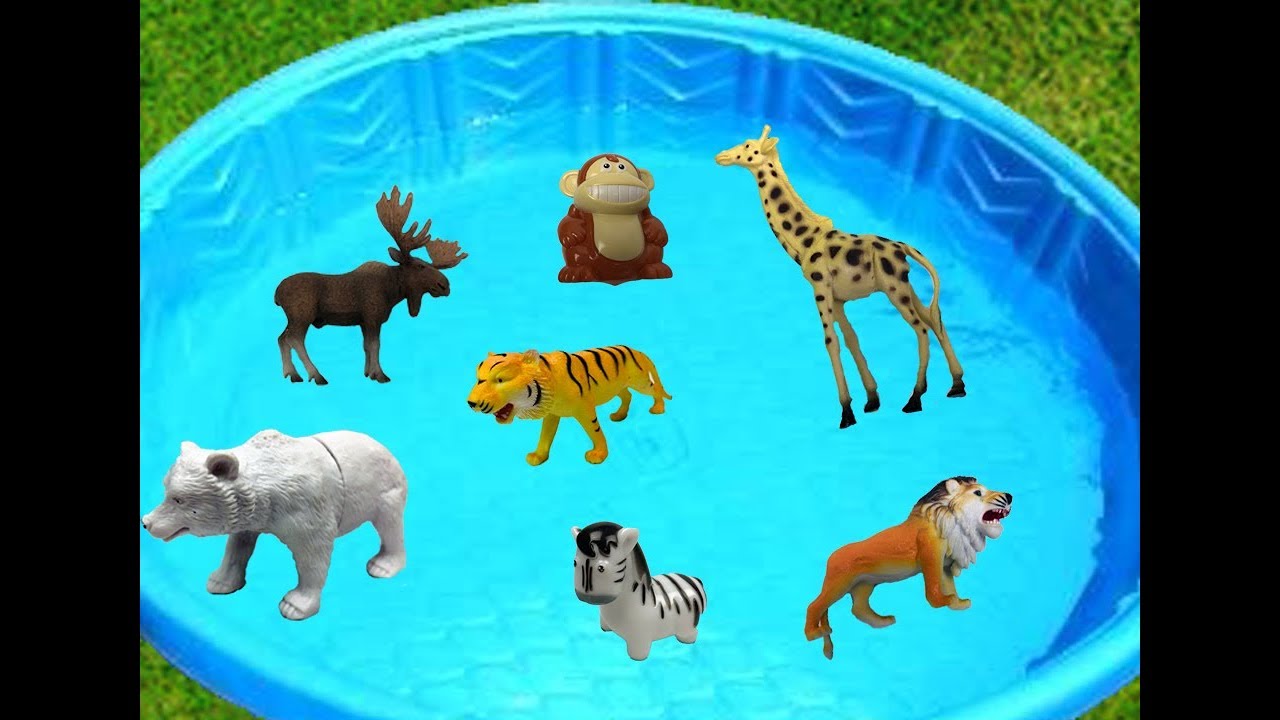Learn Colors with Wild Animals in Water Pool for Kids - YouTube