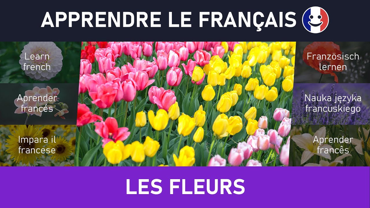Apprendre le français Les fleurs 💐 - YouTube