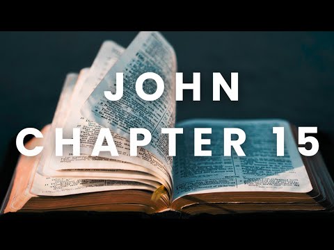 JOHN CHAPTER 15 (BIBLE READING SERIES) - YouTube