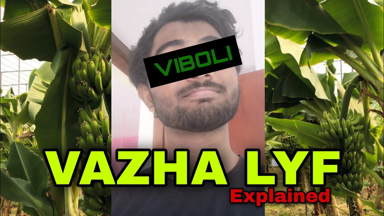 Why a 'VAZHA' is always 'VAZHA'....|VIBOLI| - YouTube